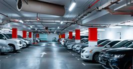 No Birds car hire - Book a rental car at VroomVroomVroom